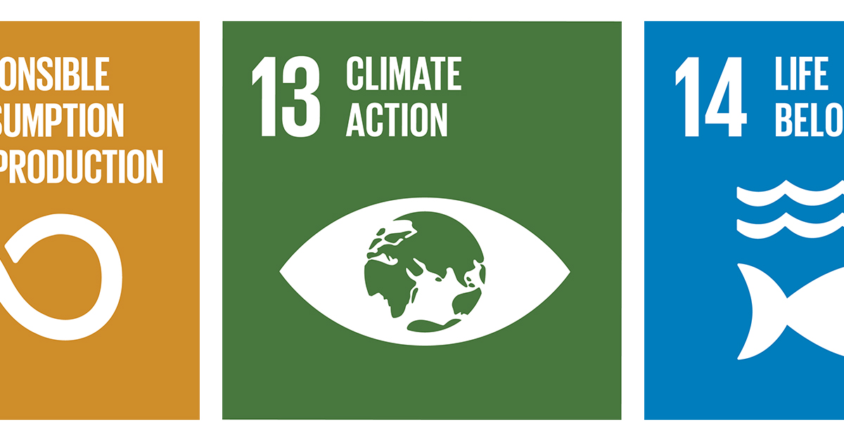 How UN Sustainable Development Goals are driving climate action