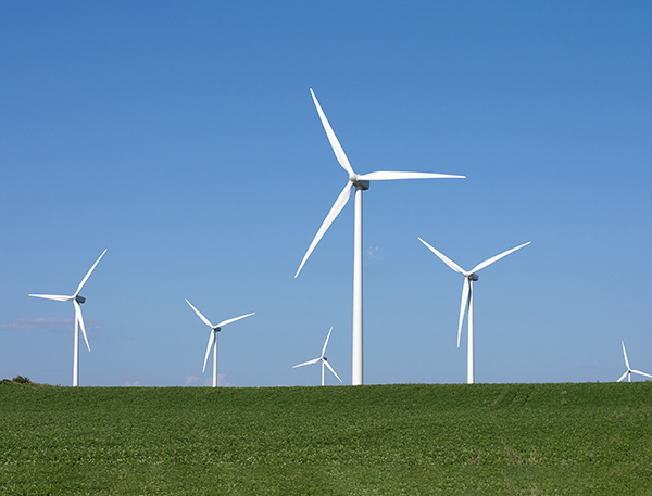 Green energy solutions - corporate sustainability | Bullfrog Power