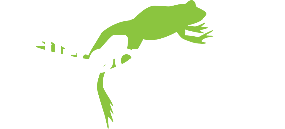 Go for Green! Practical advice for your company's sustainability team ...