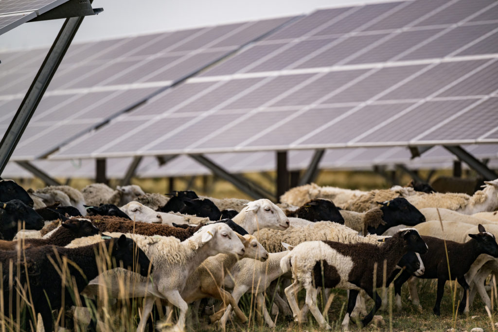 How multi-use land helps renewables and communities | Bullfrog Power