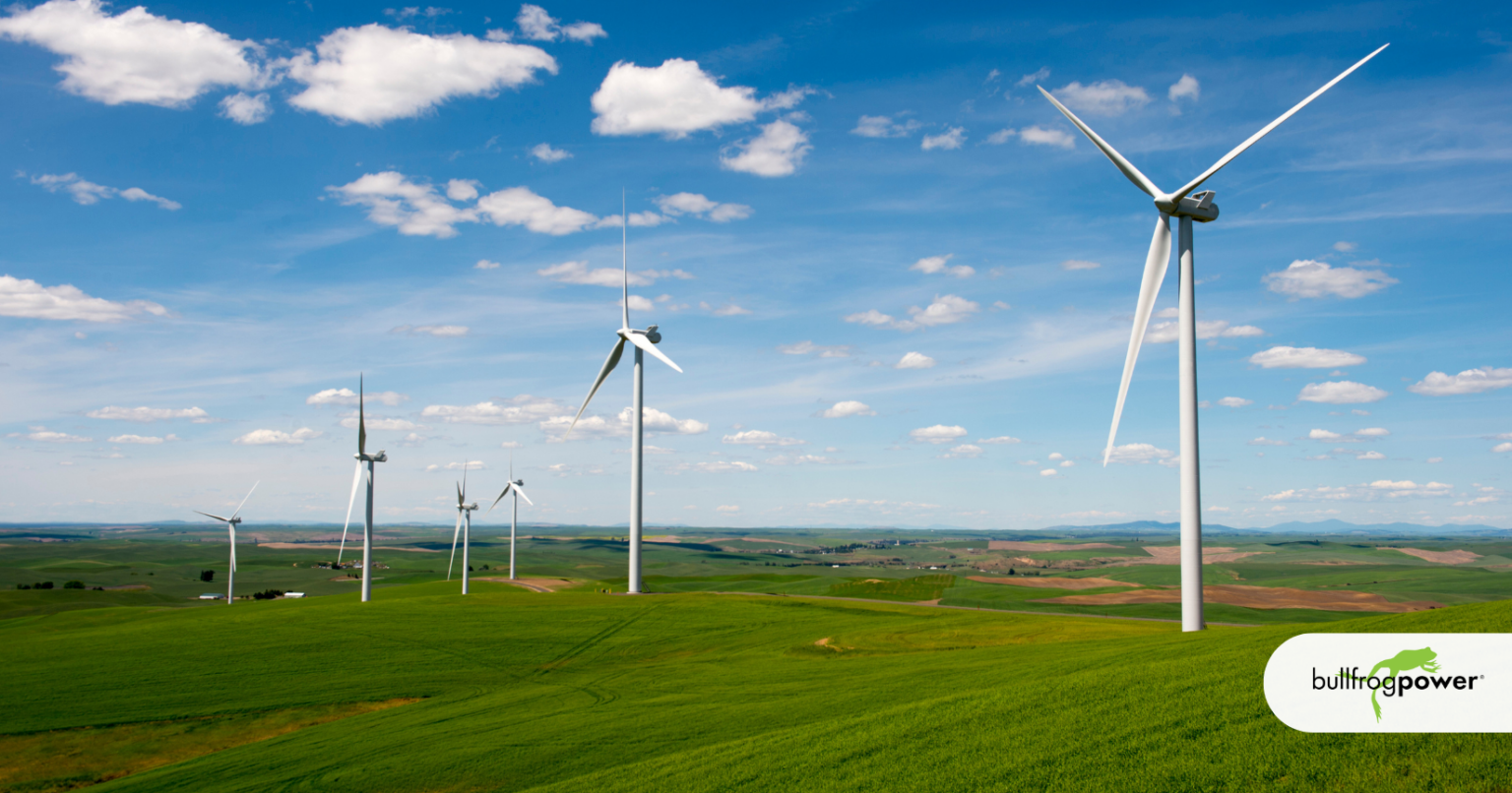 Renewable Energy Provider - Clean, Sustainable Energy | Bullfrog Power
