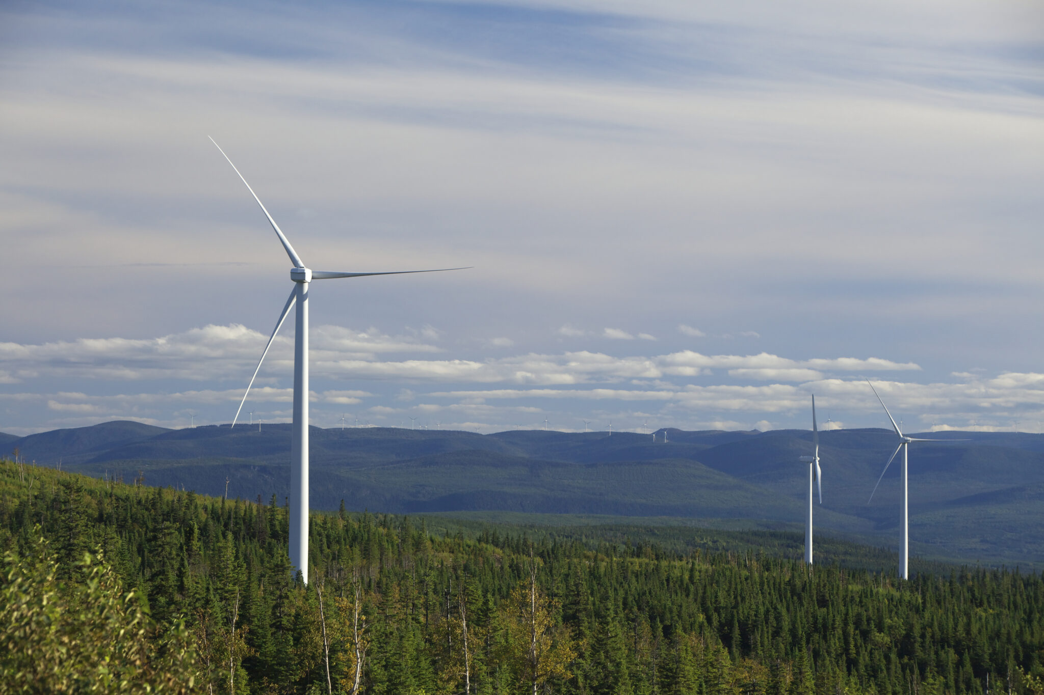 West Cape Wind Farm - Bullfrog Power
